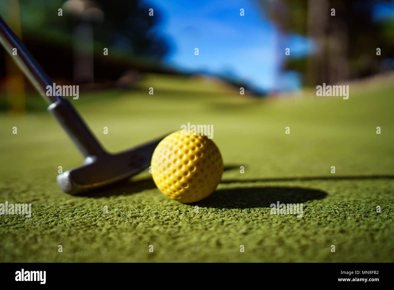 Mini Golf yellow ball with a bat at sunset Stock Photo - Alamy