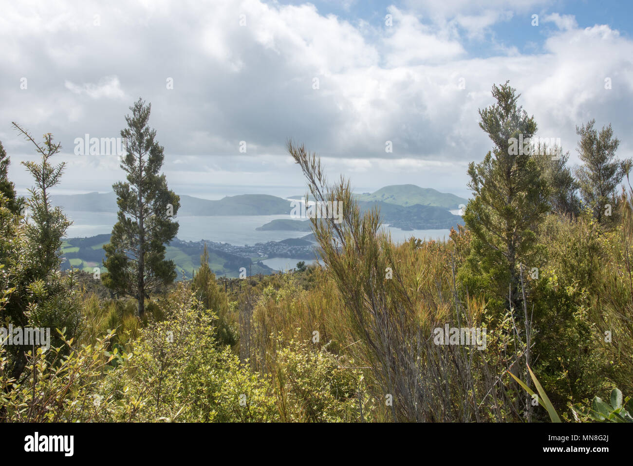 Stunning scenic view overlooking the green, rolling landscape from the ...