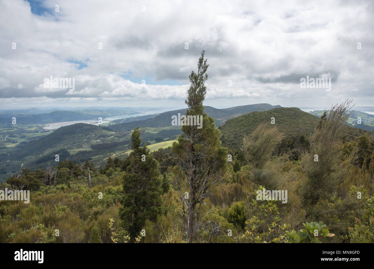 Stunning scenic view overlooking the green, rolling landscape from the ...