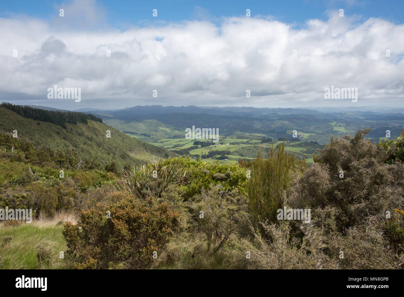 Stunning scenic view overlooking the green, rolling landscape from the ...