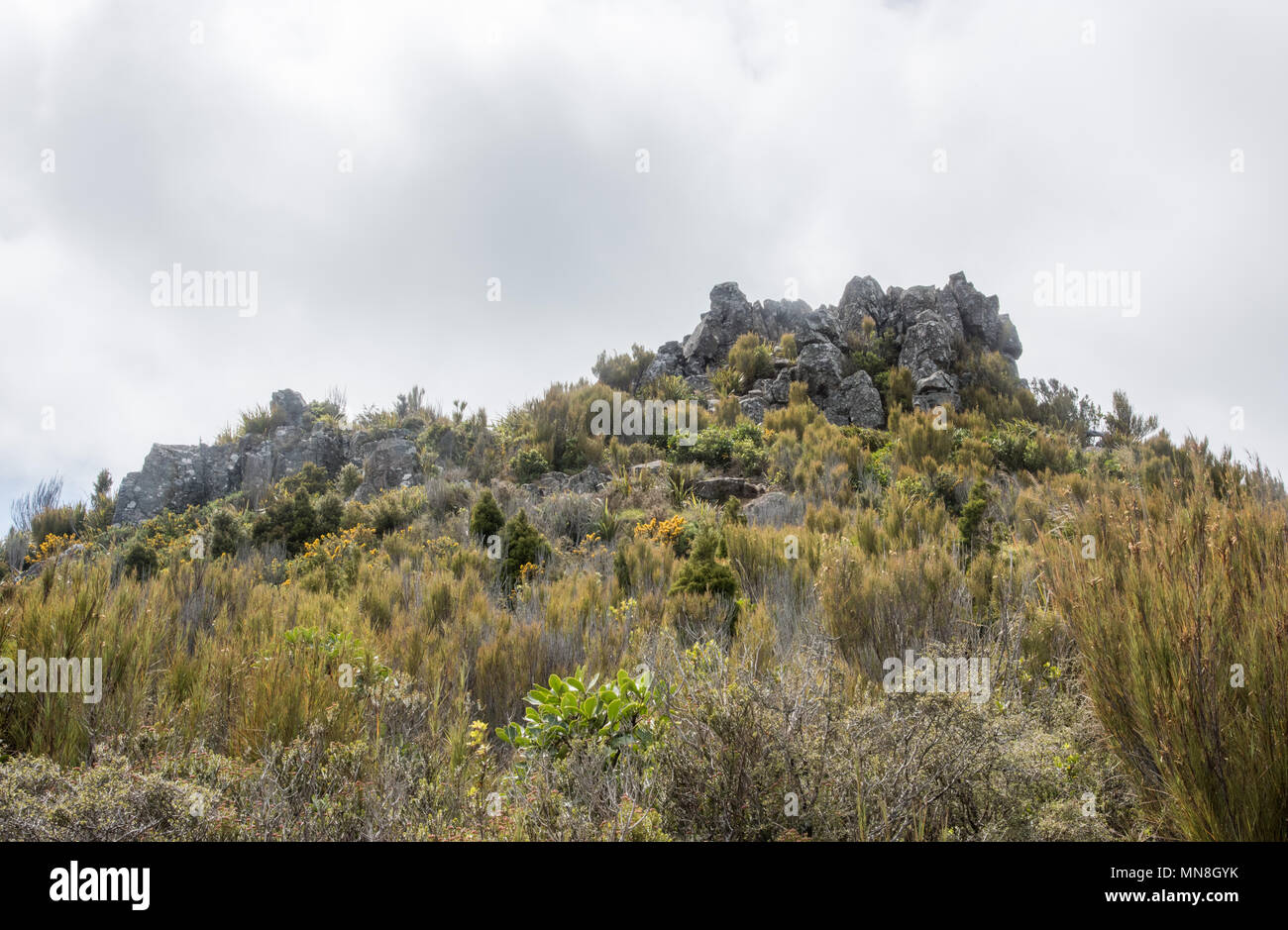 Low angle view of the volcanic rock, organ pipes, on the peak of Mt ...
