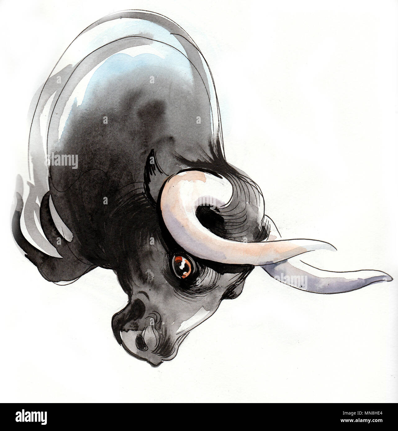 Black bull. Ink and watercolor sketch Stock Photo - Alamy
