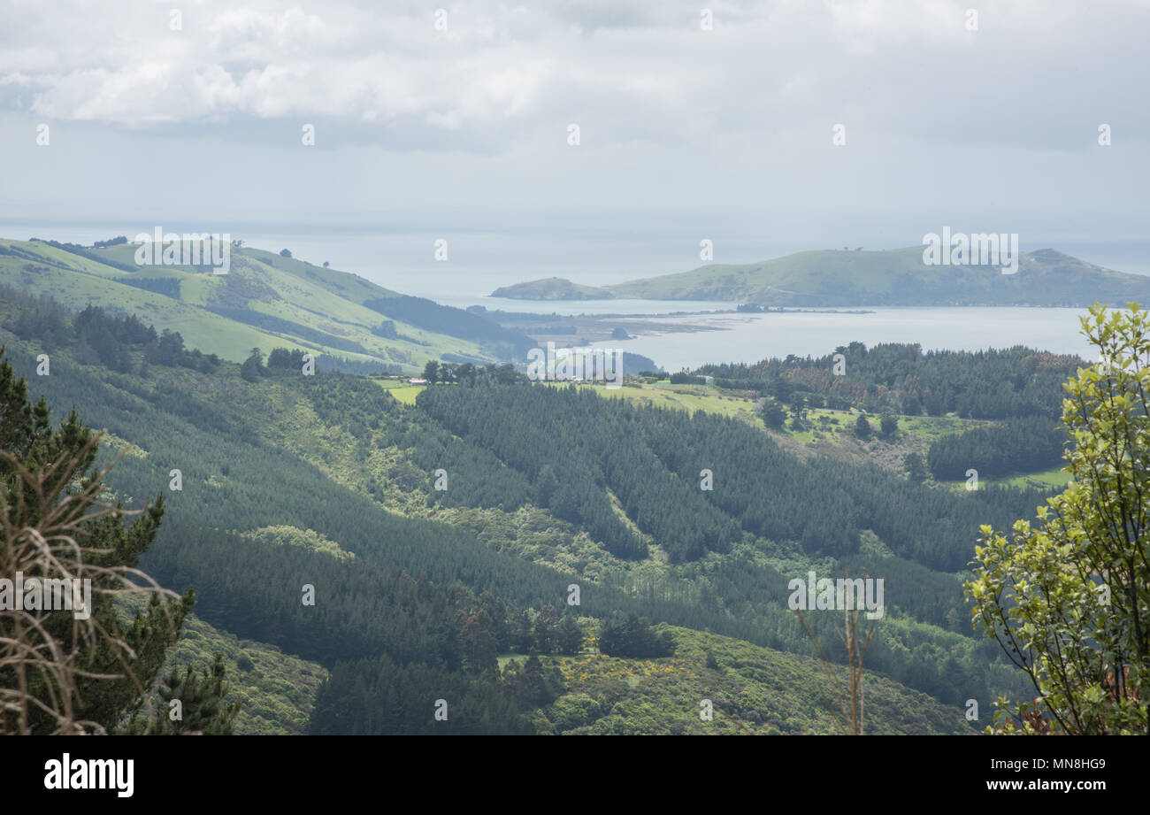 Stunning scenic views from the Mt. Cargill mountain top over the Otago ...