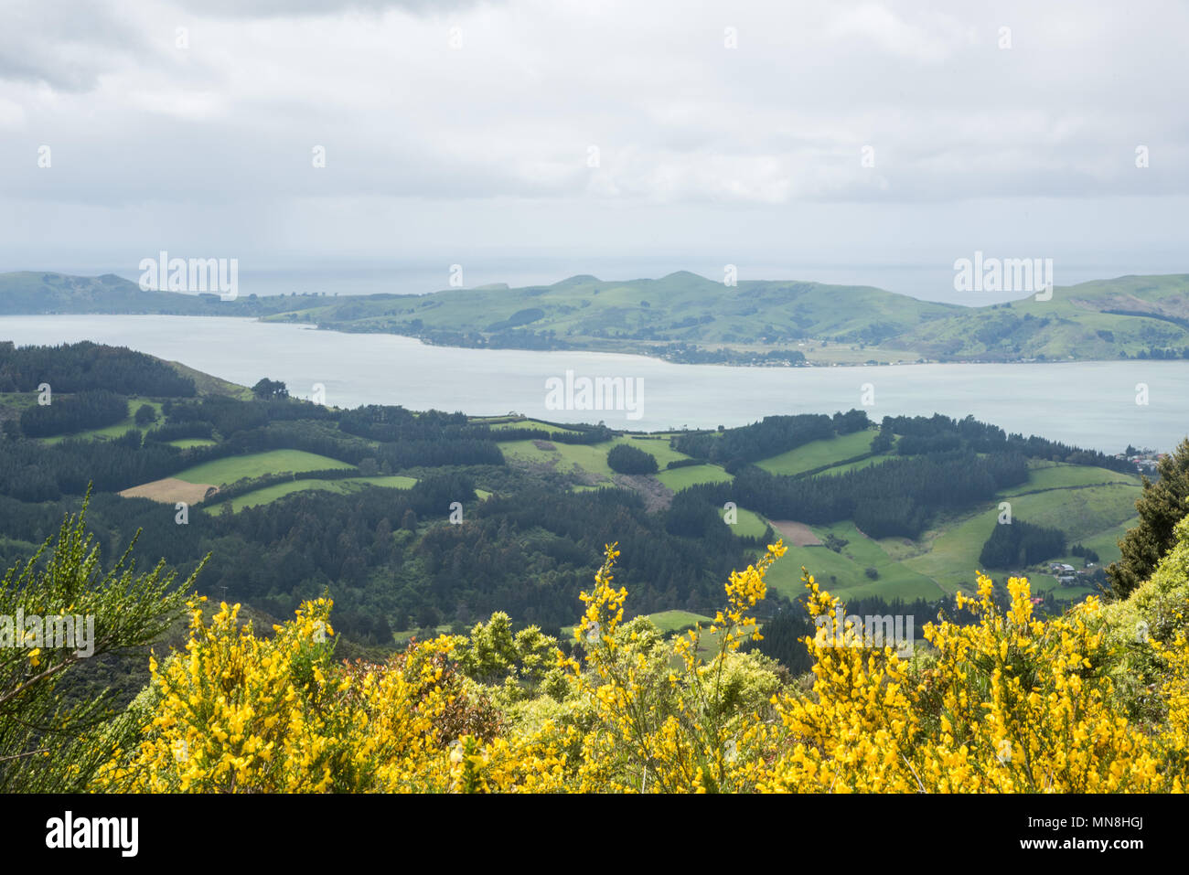 Stunning scenic views from the Mt. Cargill mountain top over the Otago ...