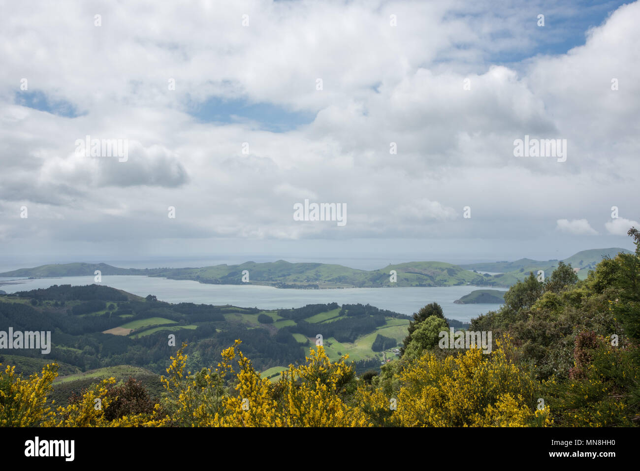Stunning scenic views from the Mt. Cargill mountain top over the Otago ...
