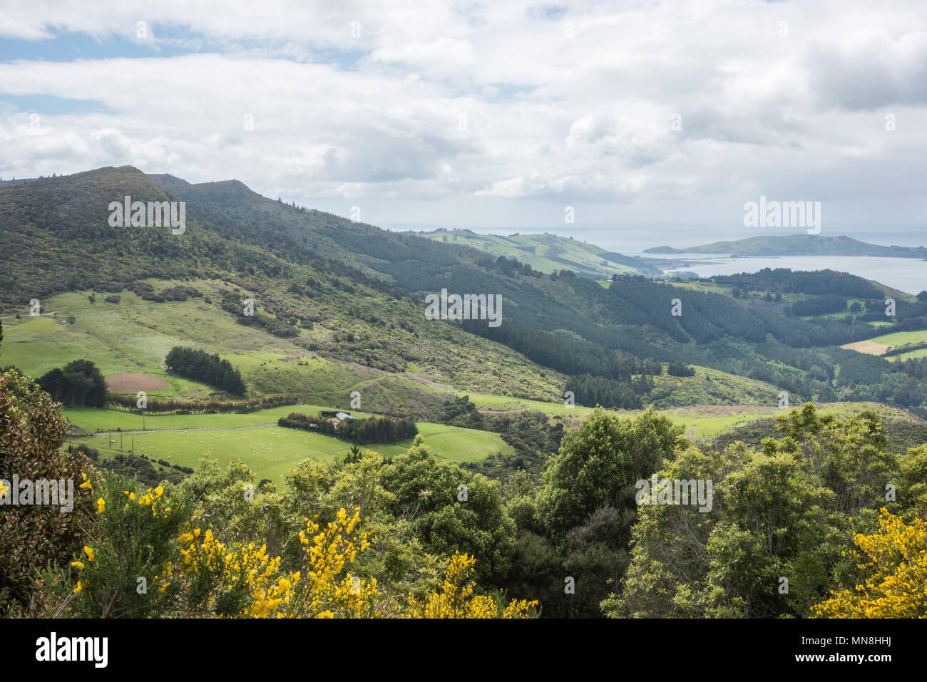 Stunning scenic views from the Mt. Cargill mountain top over the Otago ...