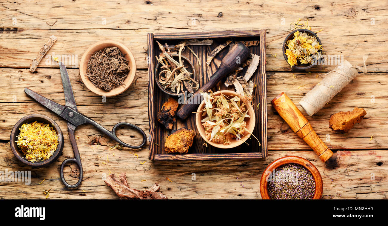 Natural herbal medicine,medicinal herbs and herbal medicinal root ...