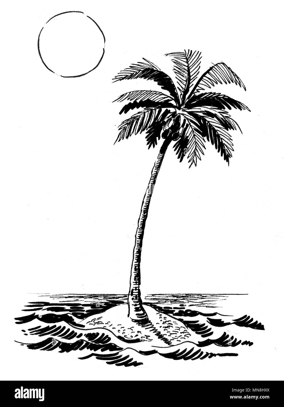 Palm tree on a deserted island. Ink black and white drawing Stock Photo ...