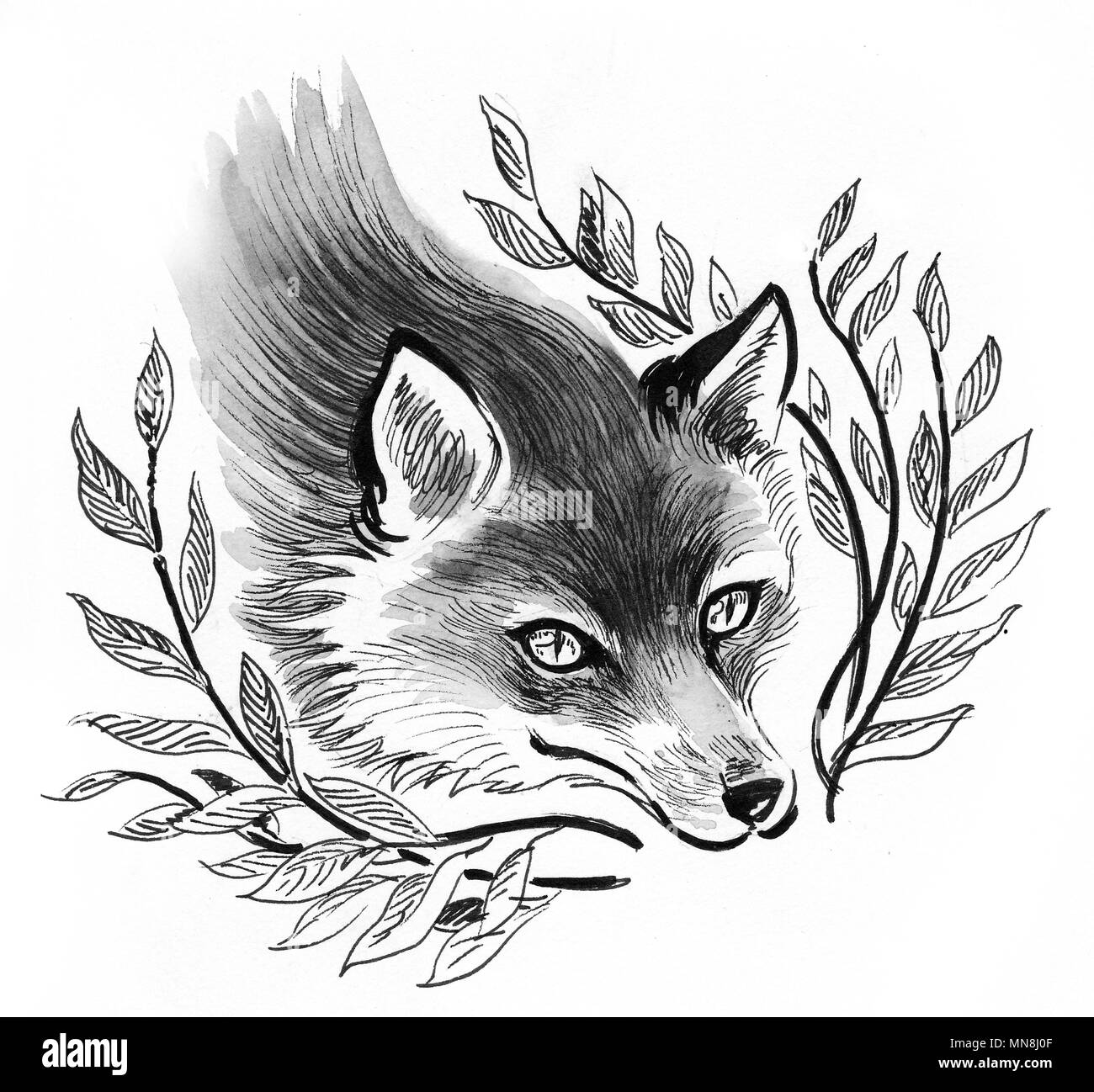 Fox head and branches. Ink black and white drawing Stock Photo - Alamy