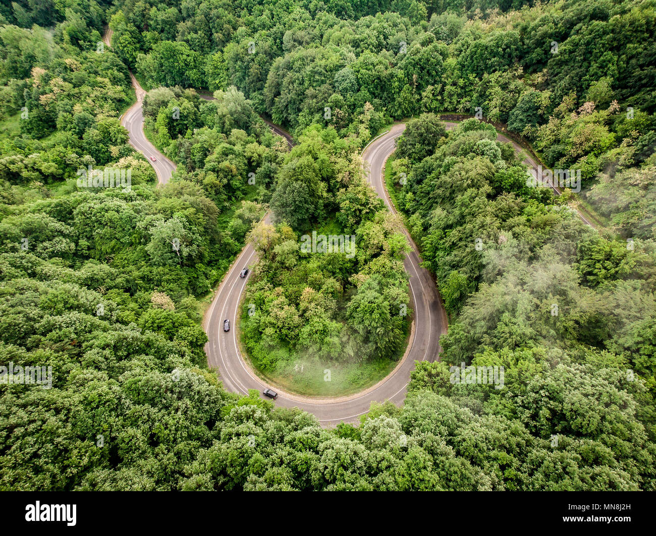 Aerial view of a curved road in the forest shot with a drone Stock ...