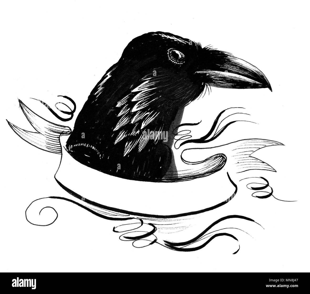 Raven banner hi-res stock photography and images - Alamy