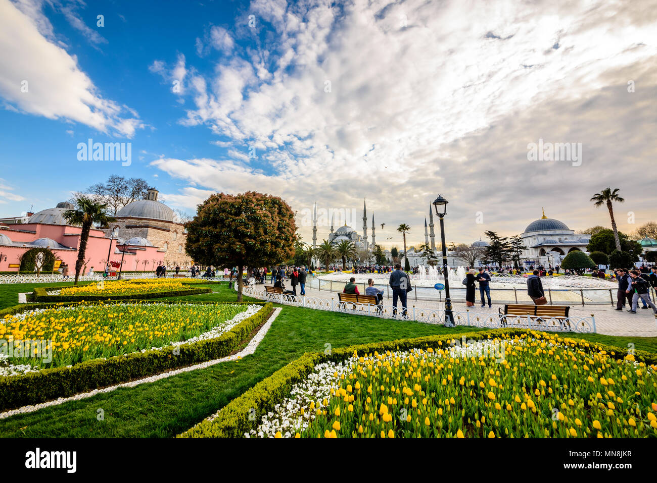 Traditional tulip Festival in Sultanahmet Square Park with view of ...