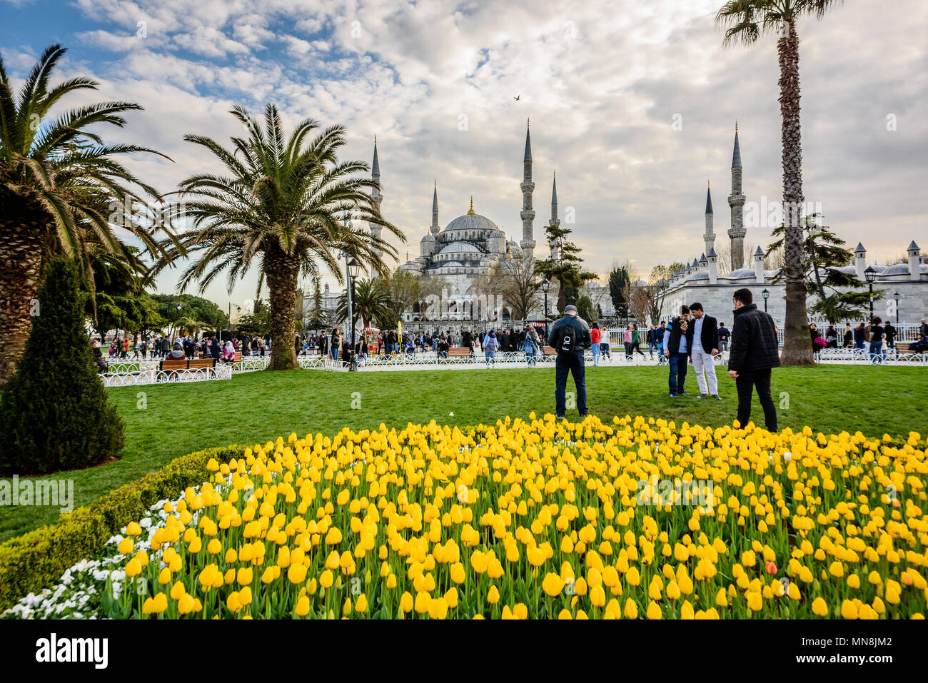 Traditional tulip Festival in Sultanahmet Square Park with view of ...