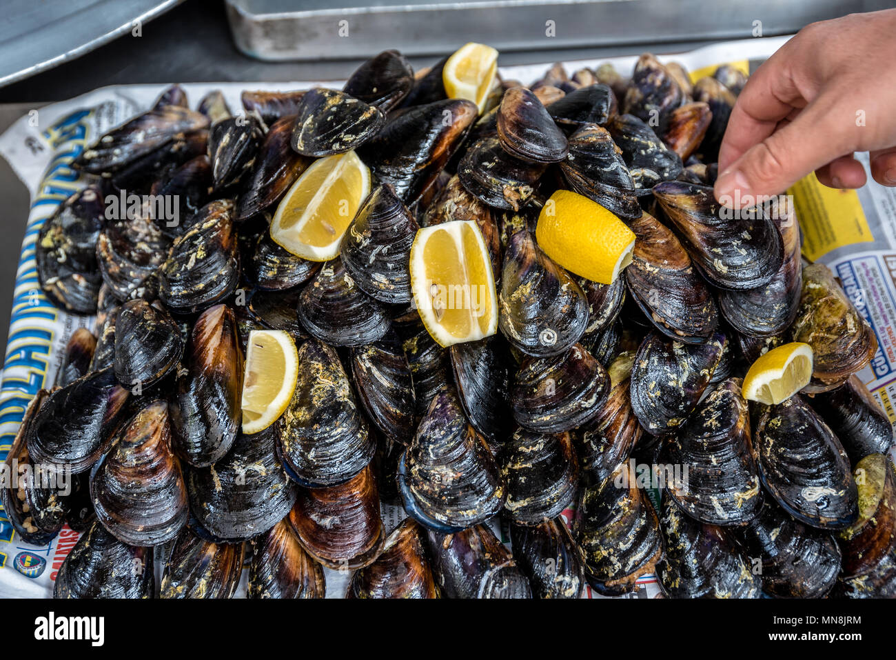 Turkish style appetizer street food stuffed mussels called midye dolma ...