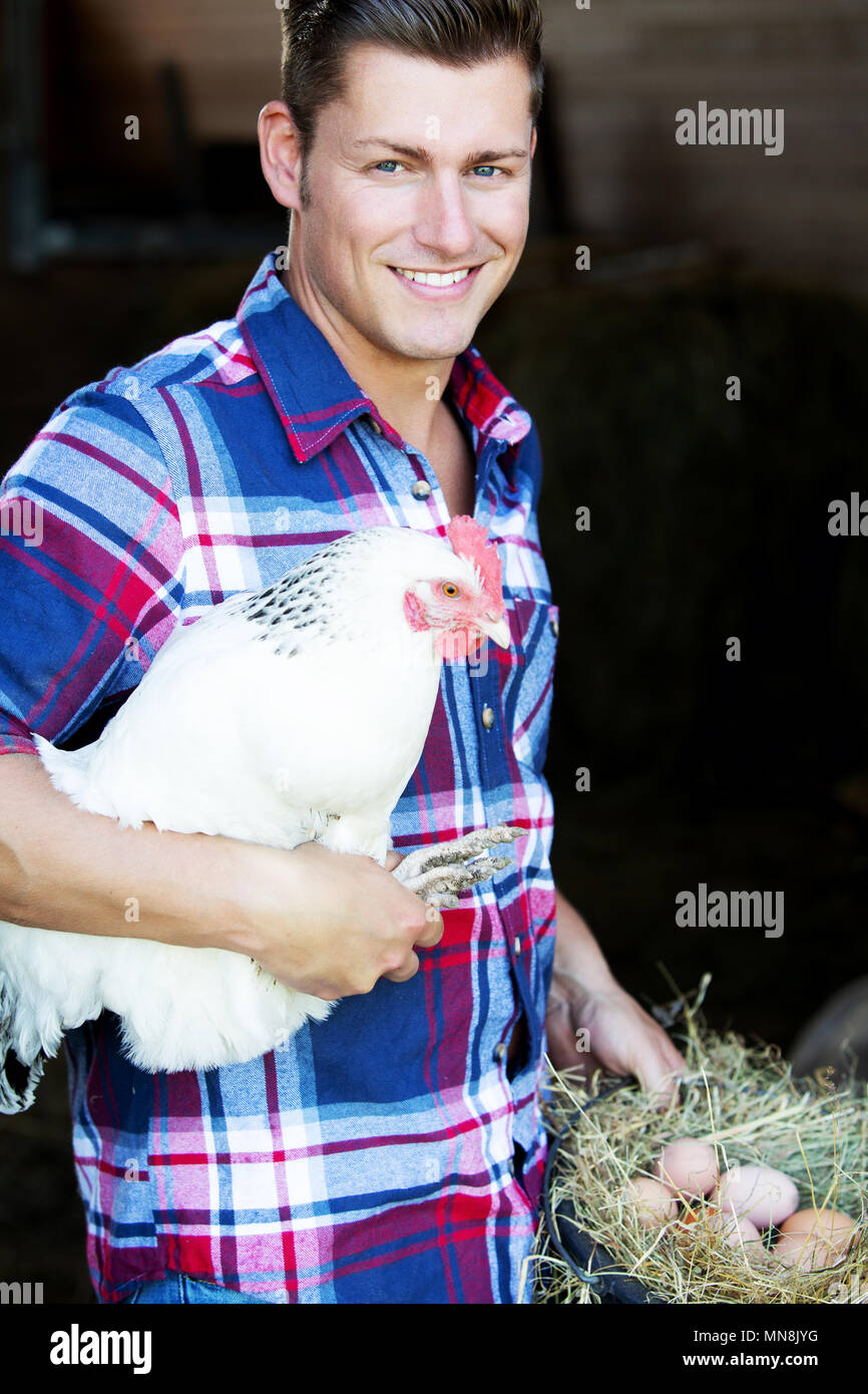 Portrait handsome white rooster hi-res stock photography and images - Alamy