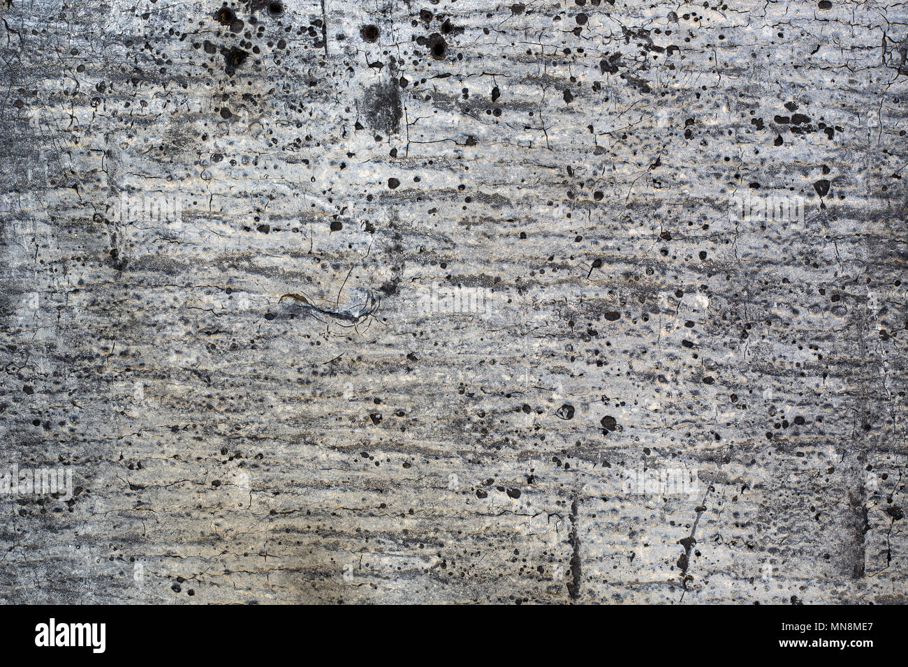 Rough Background Texture