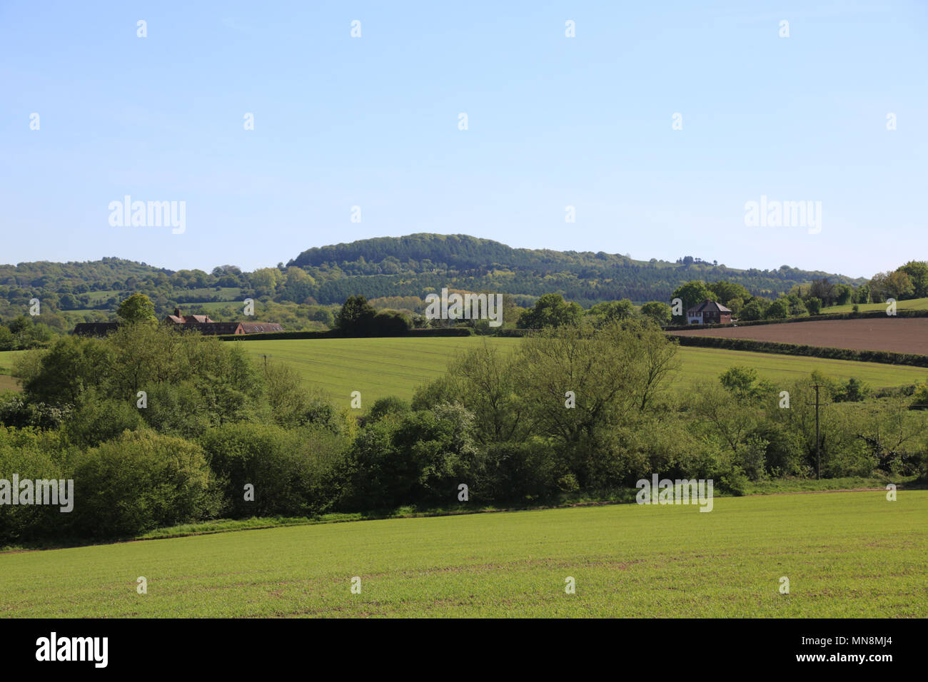 Clent worcestershire countryside hi-res stock photography and images ...
