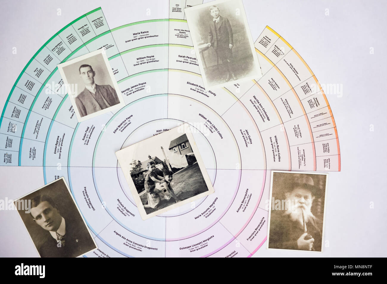Family tree chart hi-res stock photography and images - Alamy