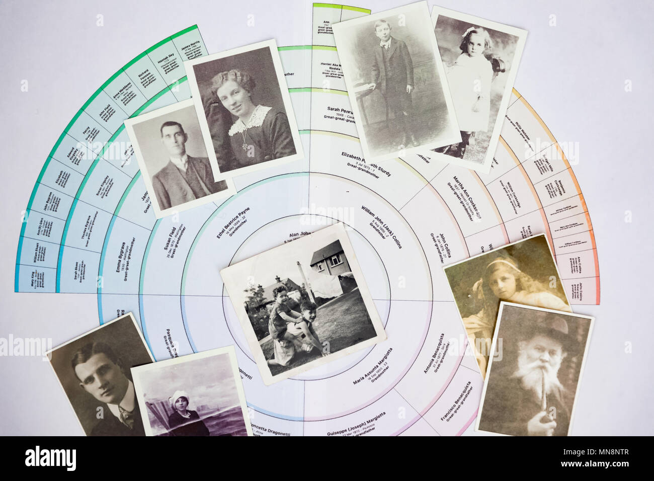 Family tree chart hi-res stock photography and images - Alamy