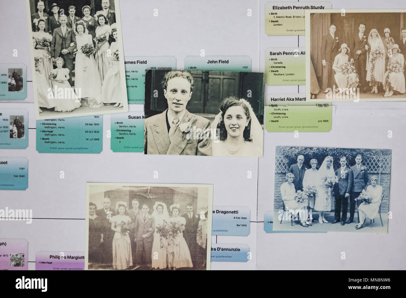 Family History charts Stock Photo - Alamy