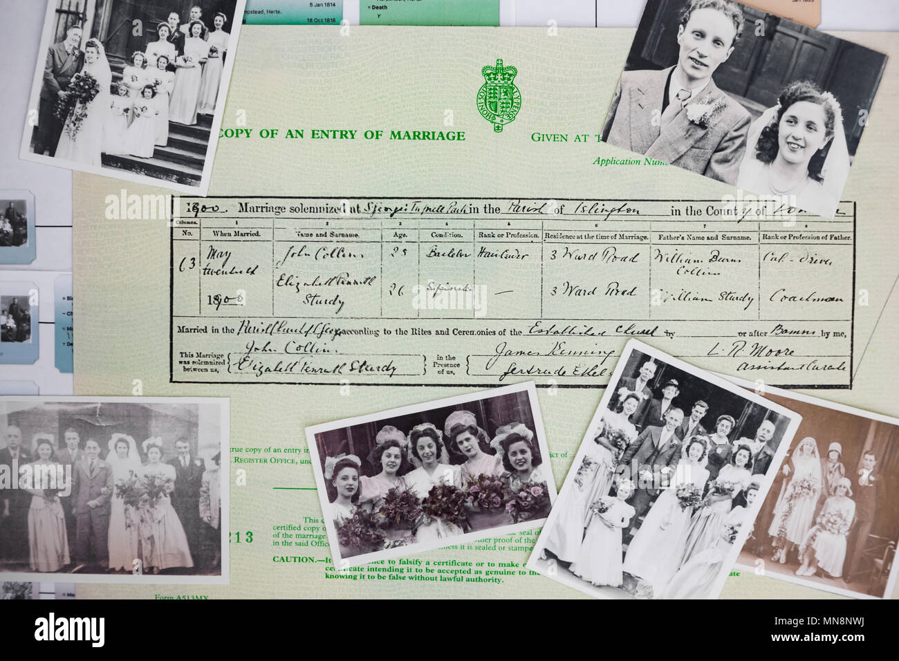 Tree charts hi-res stock photography and images - Alamy