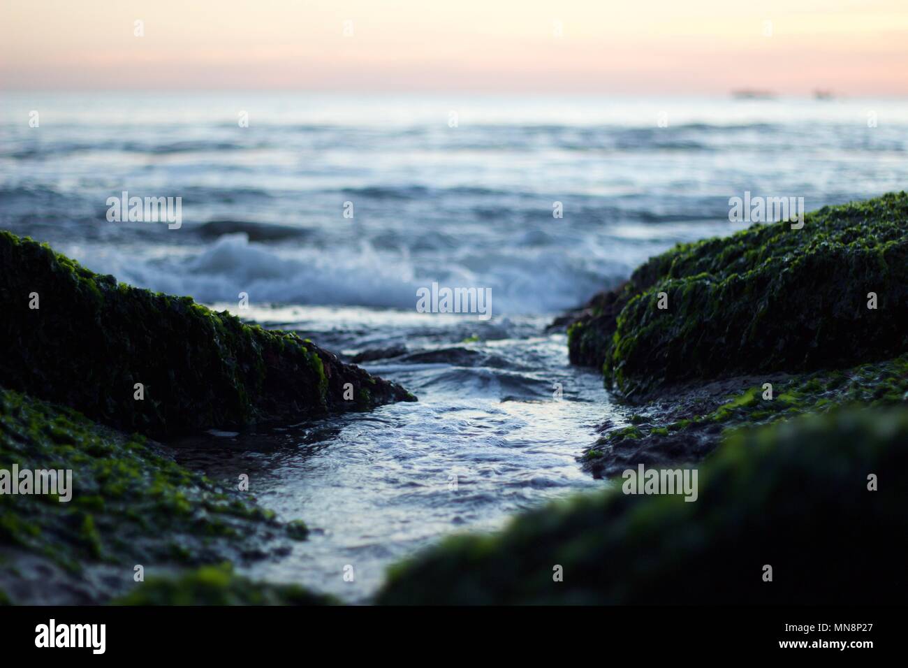Ocean Flow Through Mossy Rocks Stock Photo - Alamy