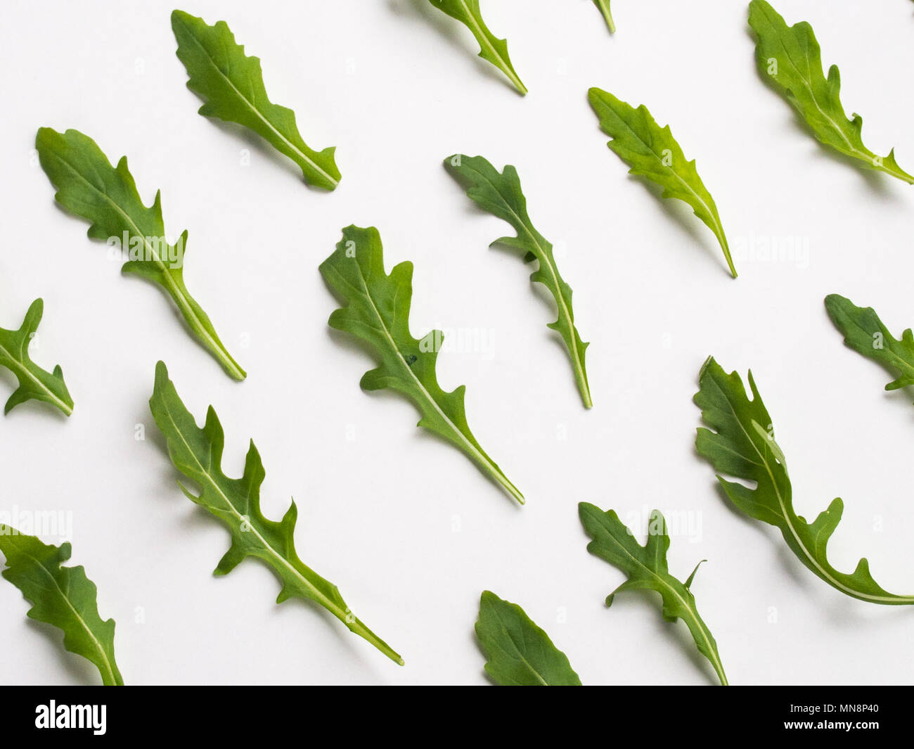 Arugula pattern hi-res stock photography and images - Alamy