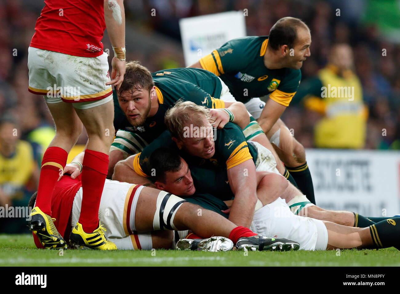 ? of Wales ? South Africa during the IRB RWC 2015 Quarter Final match ...