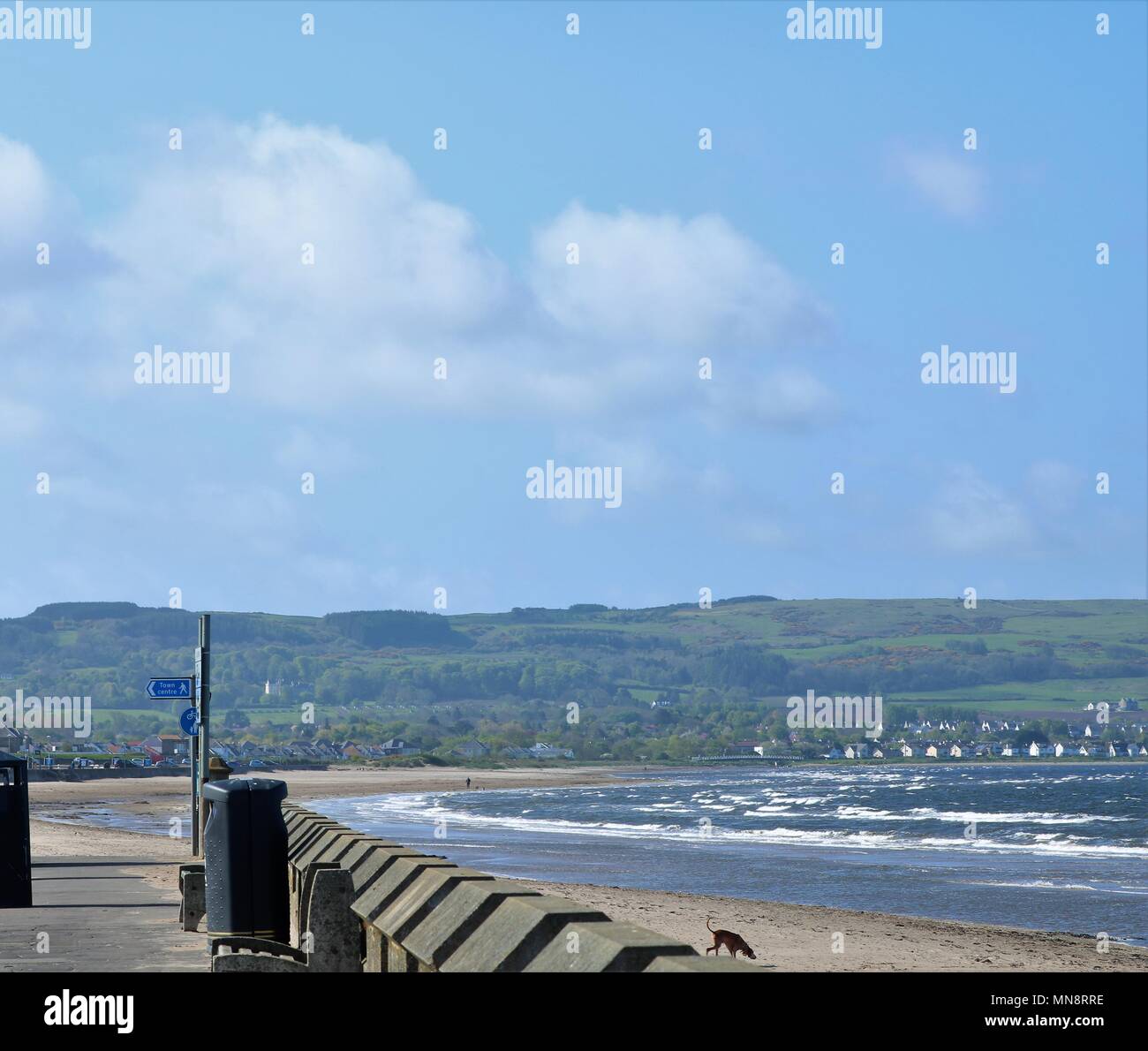 Ayr beach hi-res stock photography and images - Alamy