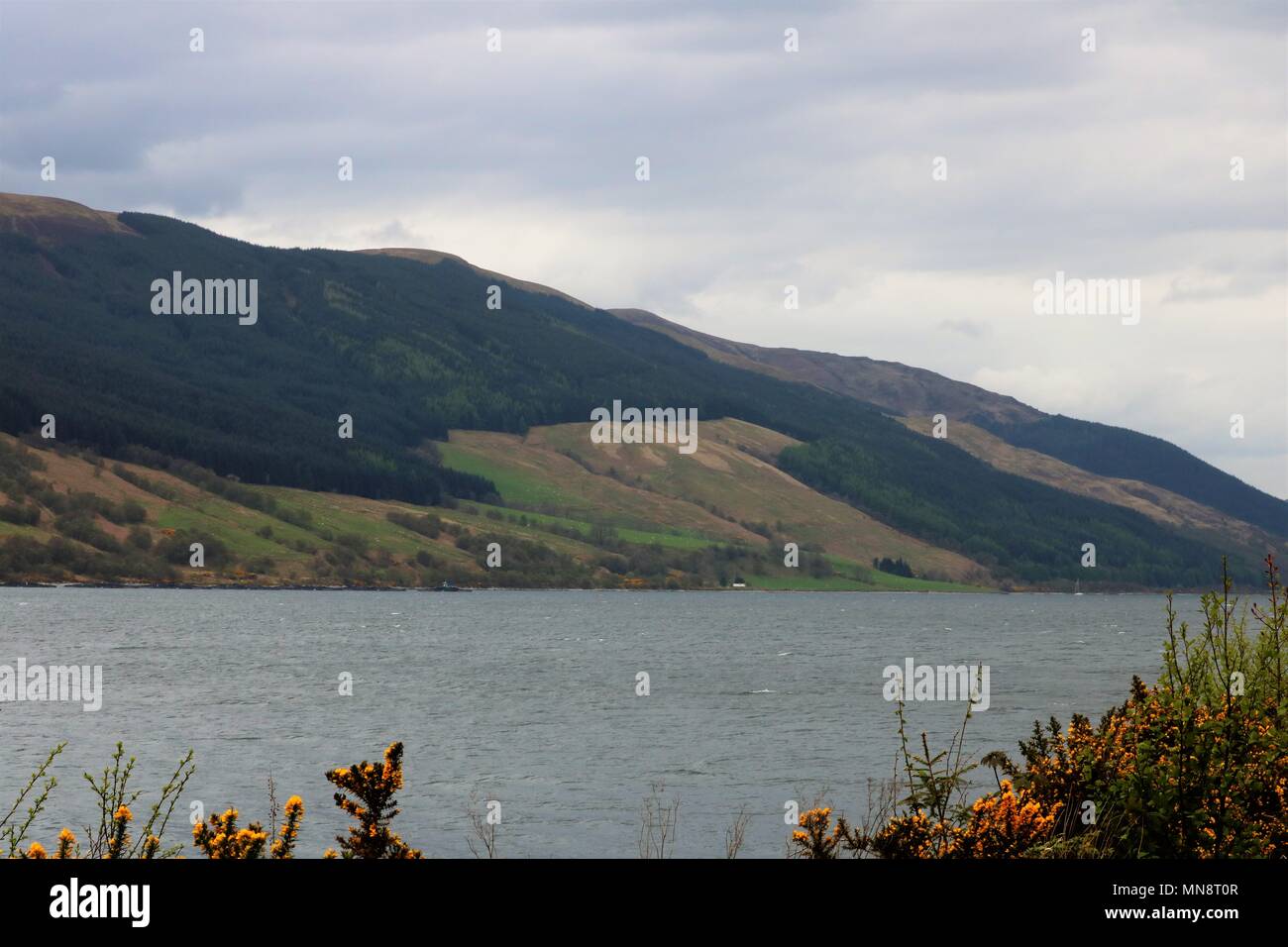 Dunoon Uk Stock Photos & Dunoon Uk Stock Images - Alamy