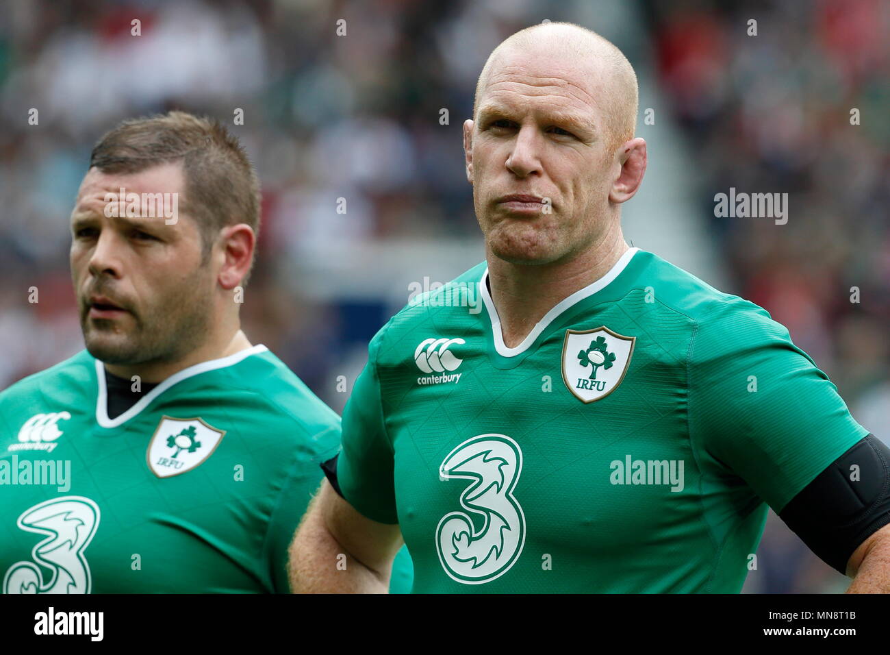 Sport rugby union player action paul oconnell hi-res stock photography ...