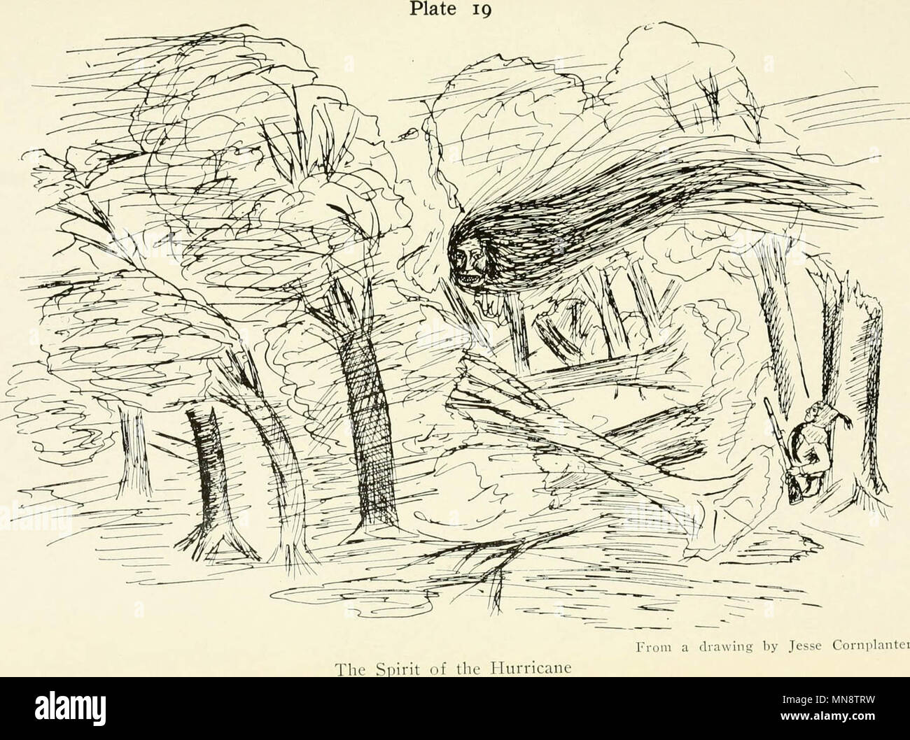 Handsome lake seneca hi-res stock photography and images - Alamy