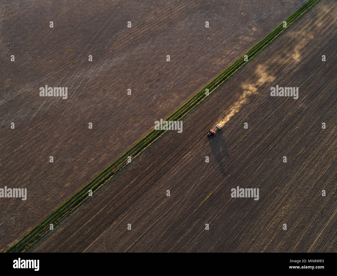 Aerial view of the tractor in the field, spring sowing work. Sowing of ...