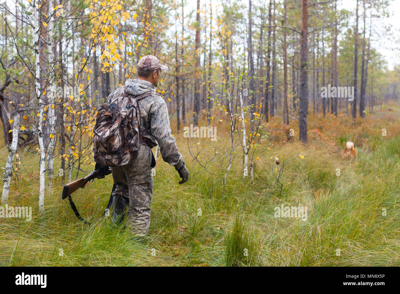 Camouflage hunter in forest hi-res stock photography and images - Alamy