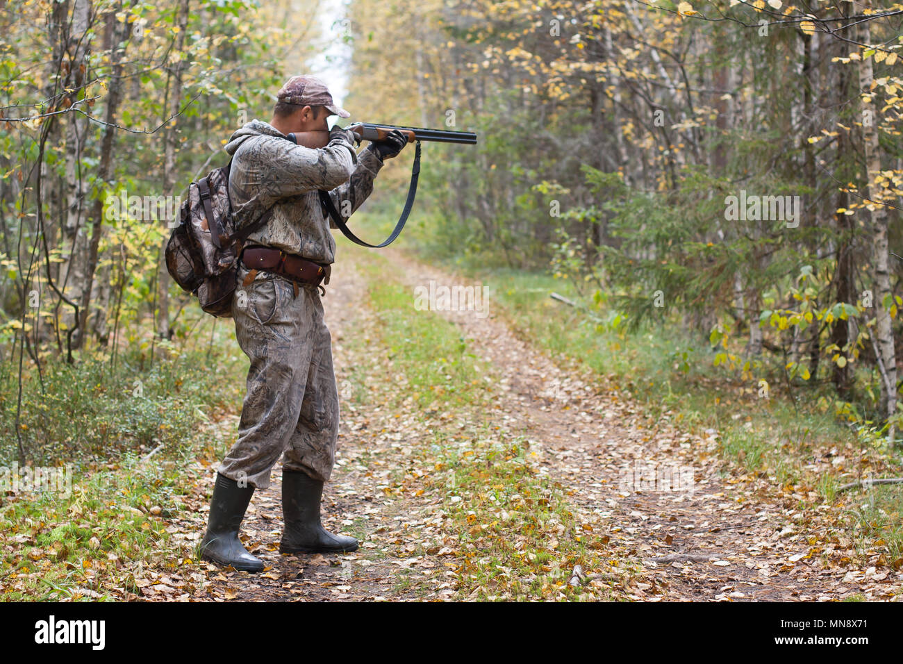 hunter taking aim from a shotgun in the wildfowl Stock Photo - Alamy