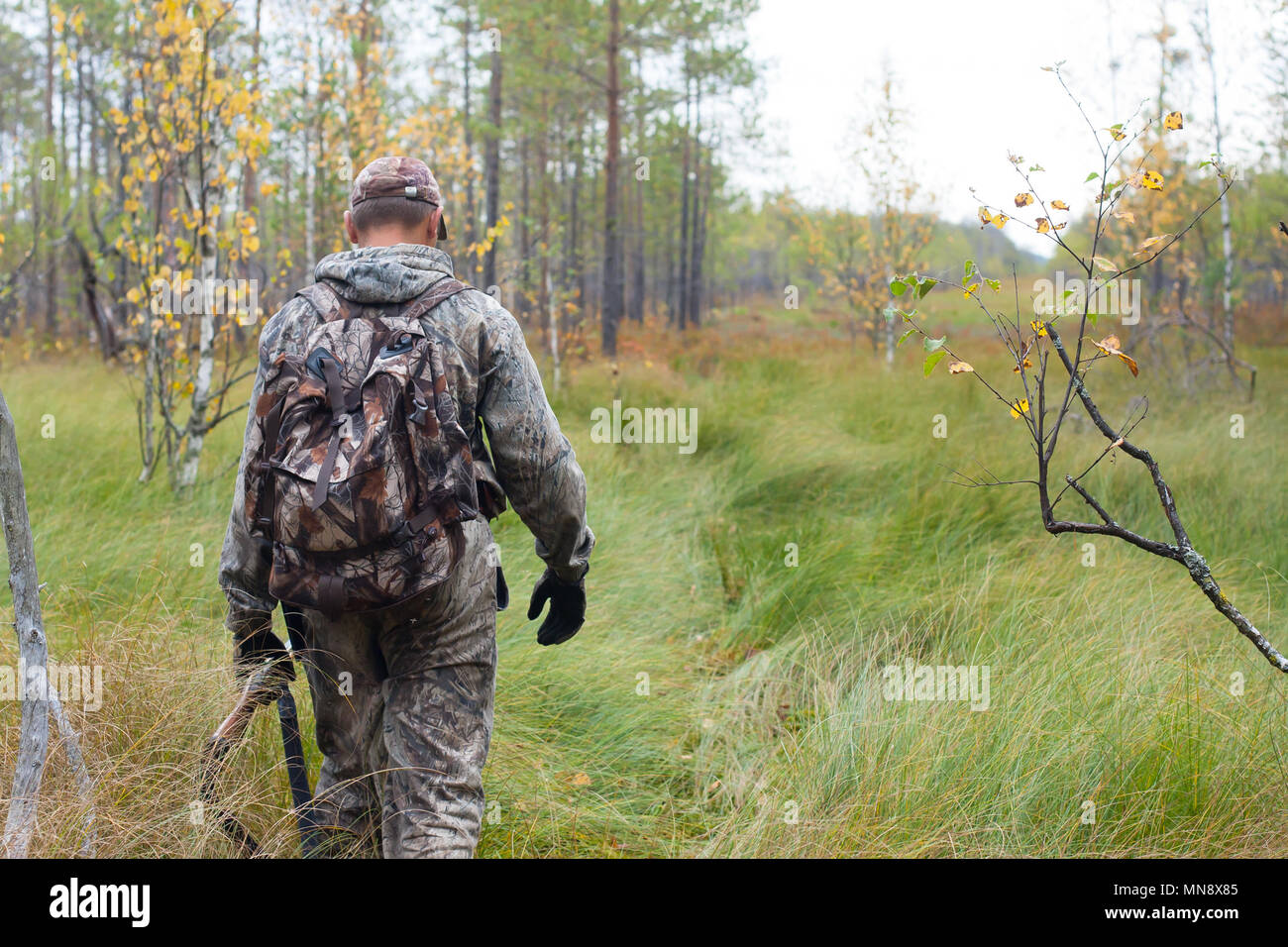 hunter in camouflage with shotgun walking on the swamp Stock Photo - Alamy