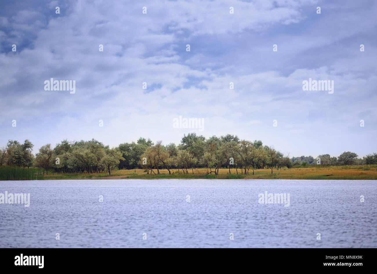 View on Rhine river with trees. Germany, Western Europe Stock Photo - Alamy