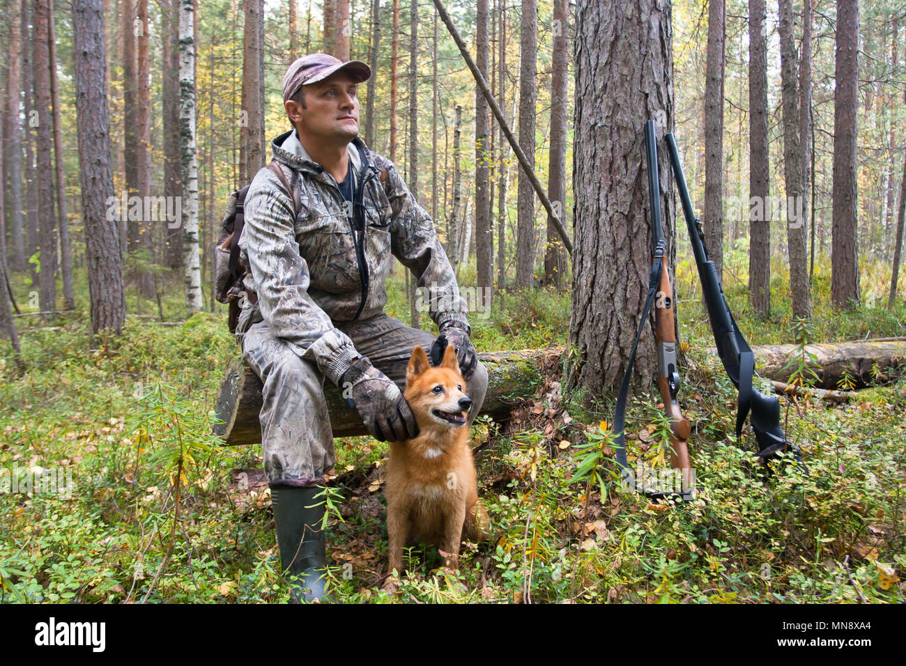 Resting hunting dogs hi-res stock photography and images - Alamy