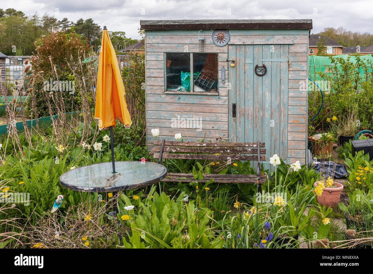 Overgrown gardens hi-res stock photography and images - Alamy