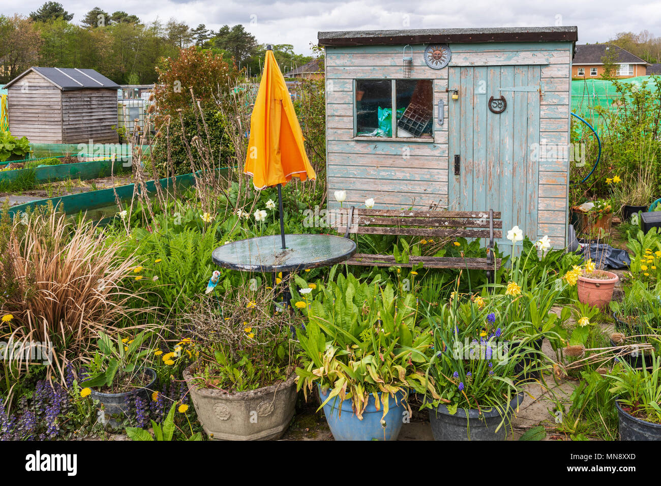 Overgrown gardens hi-res stock photography and images - Alamy