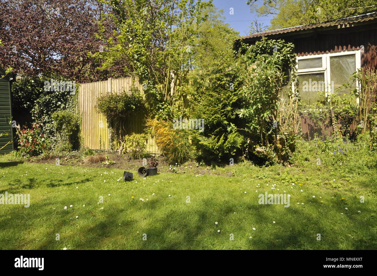 messy garden border Stock Photo - Alamy
