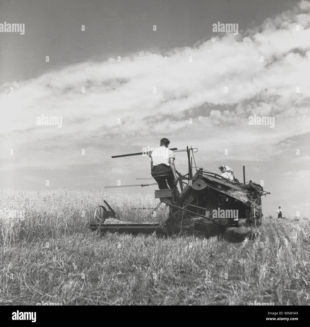 Farming 1950s Uk Stock Photos & Farming 1950s Uk Stock Images - Alamy