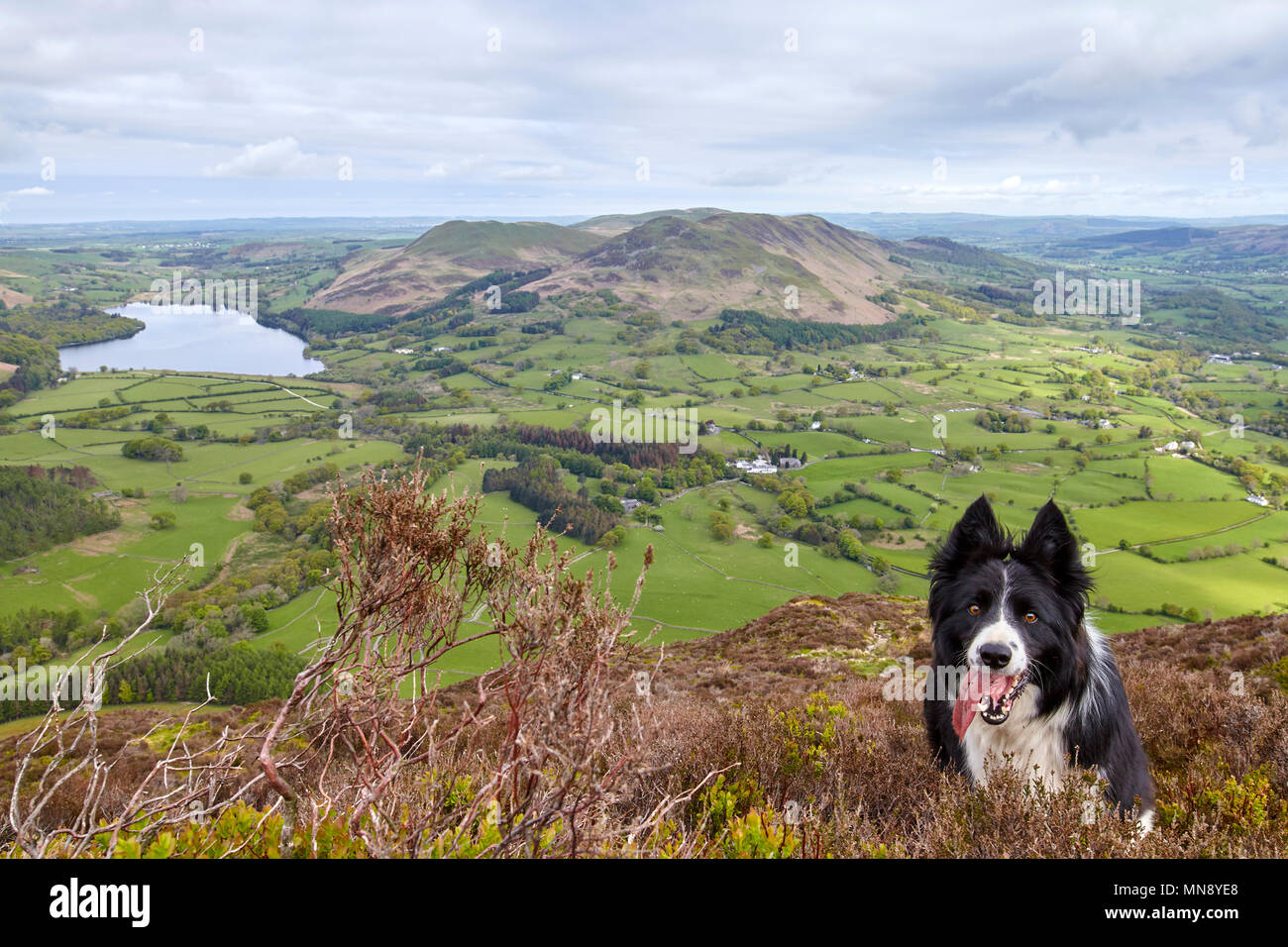 Melbreak Fell High Resolution Stock Photography and Images - Alamy