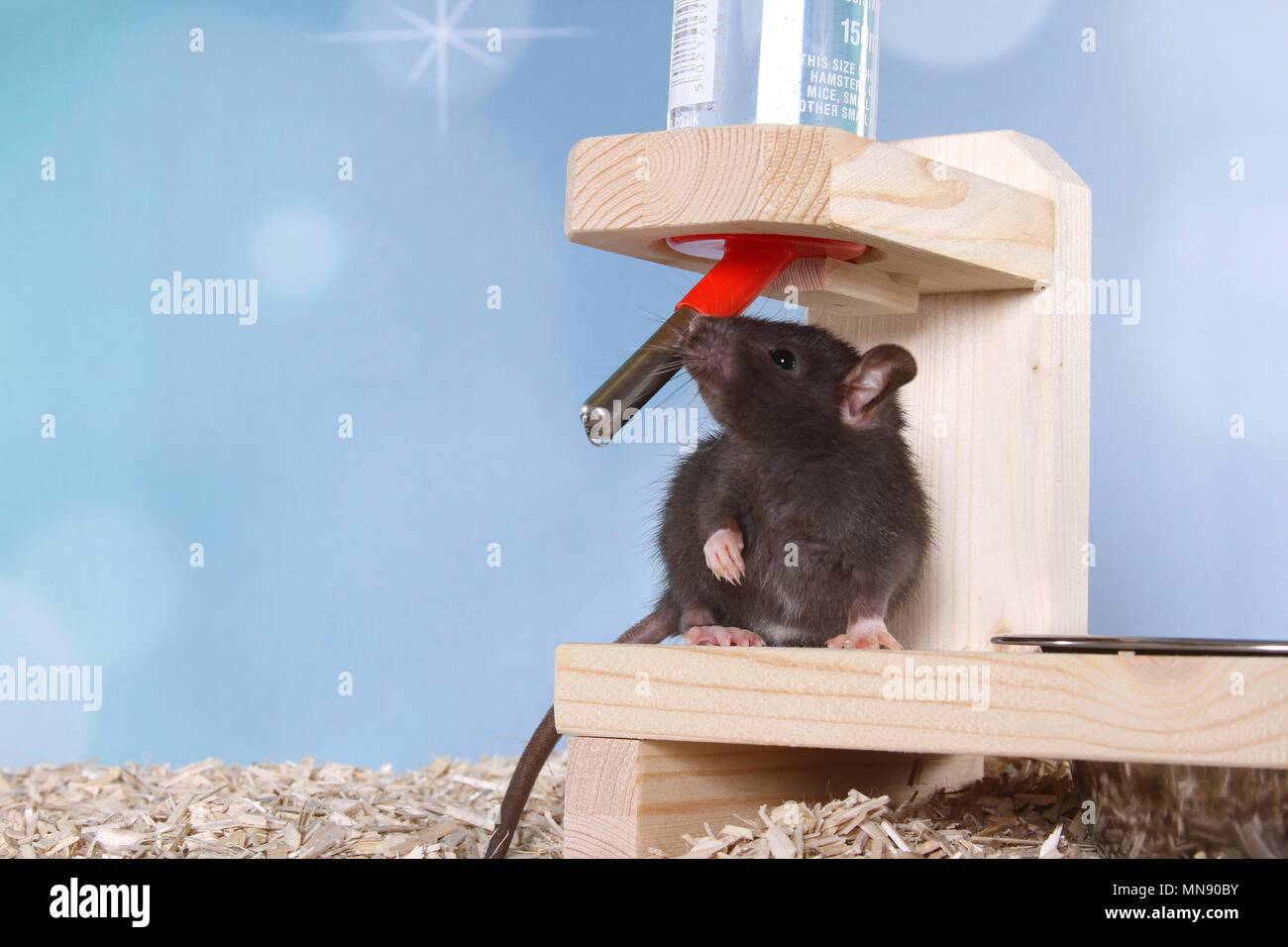 Two troughs hi-res stock photography and images - Alamy