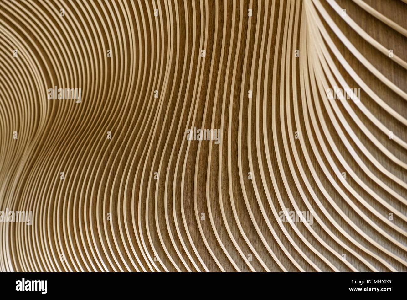 Architectural details of Welsh Assembly building. Wooden planks from ...