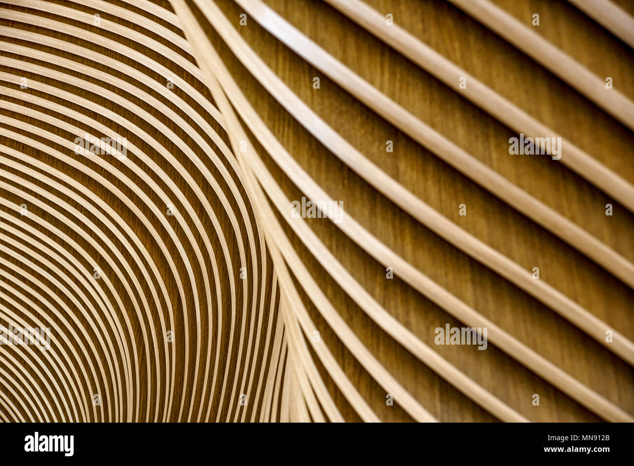 Architectural details of Welsh Assembly building. Wooden planks from ...