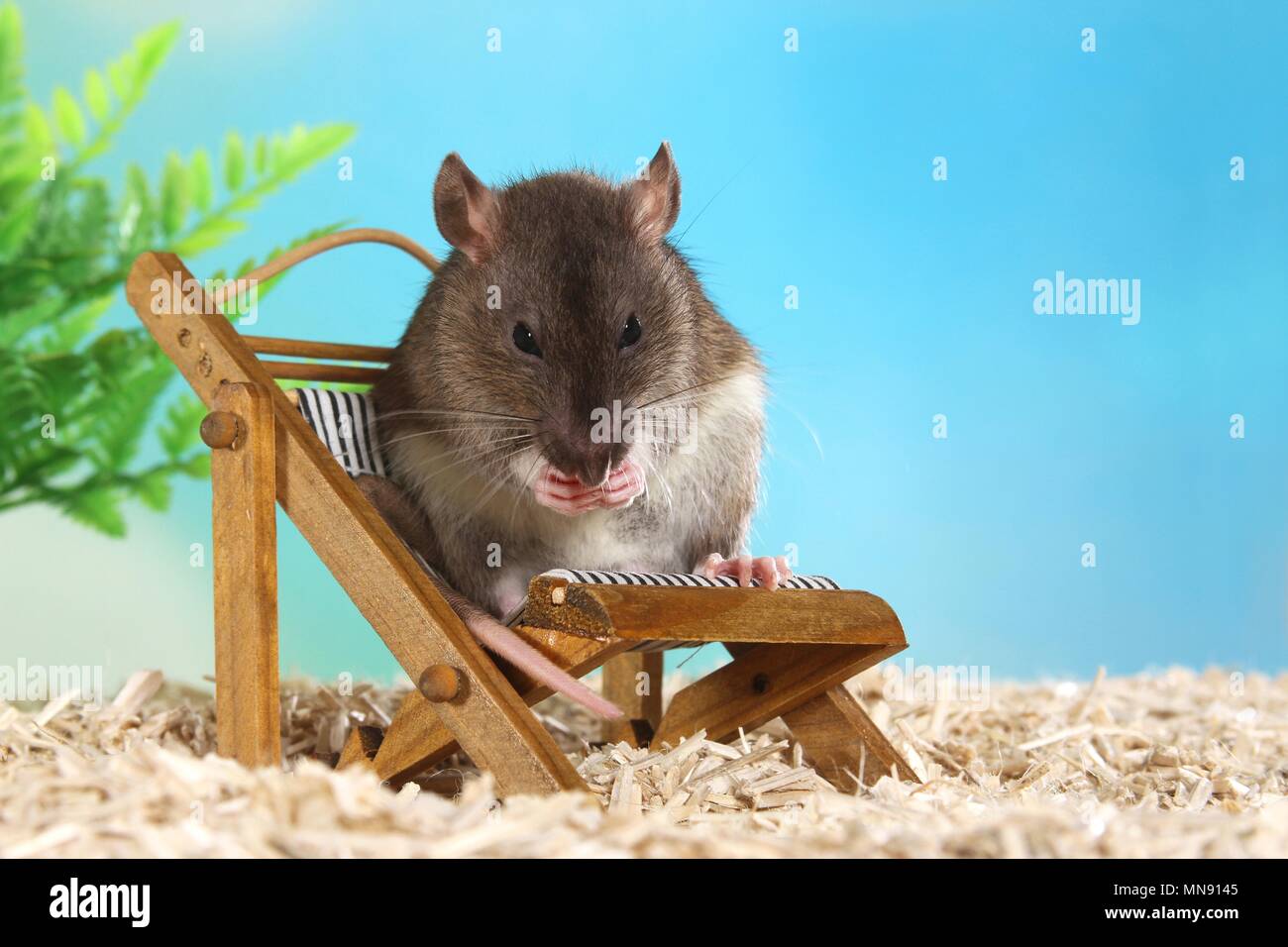 Bed legs sun hi-res stock photography and images - Alamy