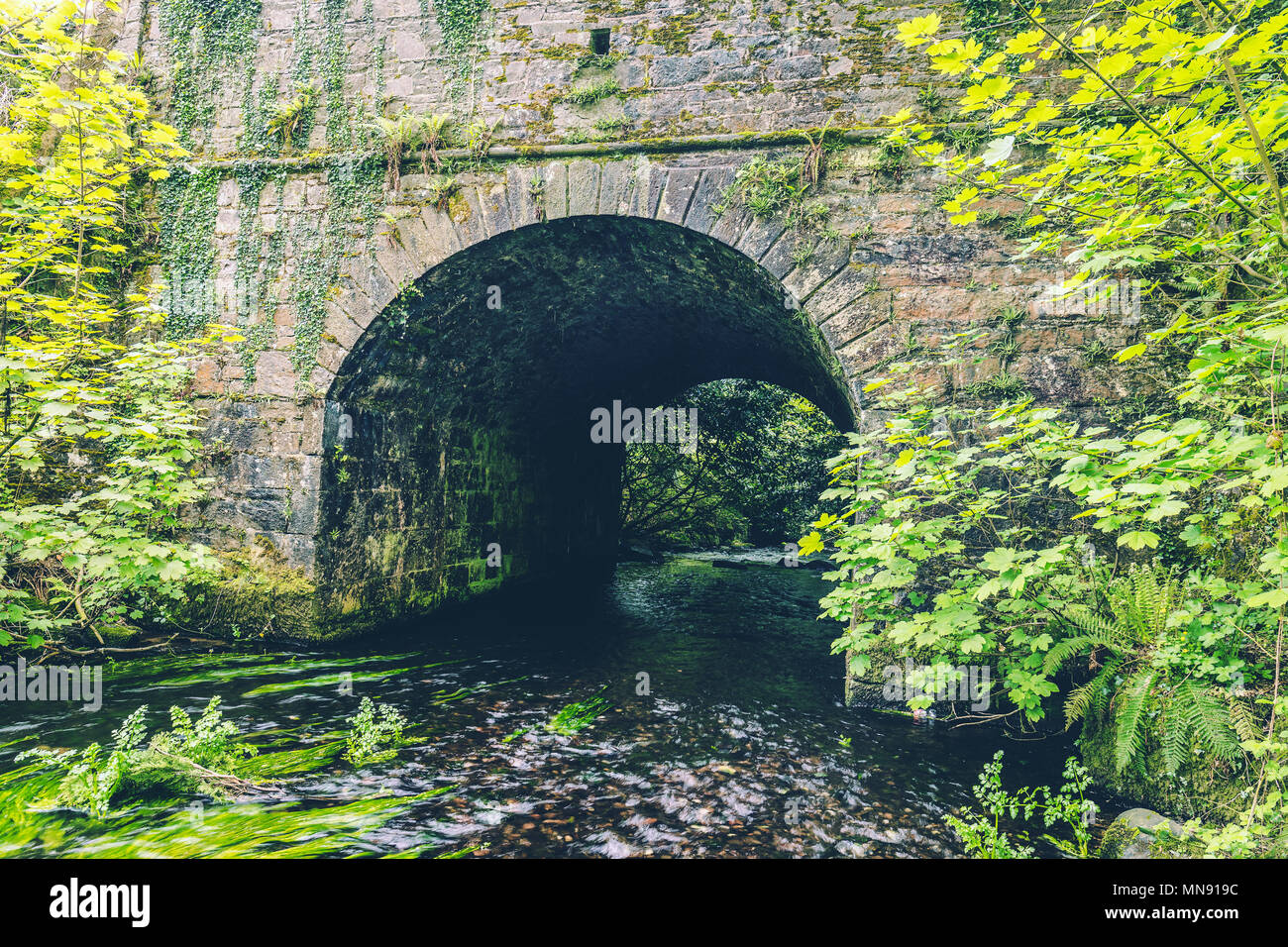 An old stone bridge in the Irish countryside with a tiny river running ...
