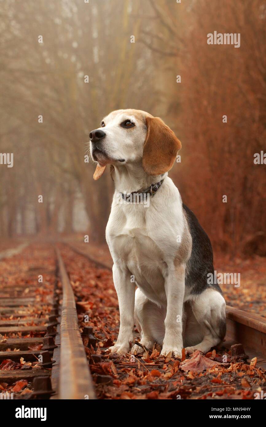 Short and long lines hi-res stock photography and images - Alamy