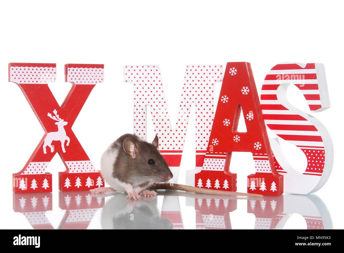 Fancy letters hi-res stock photography and images - Alamy